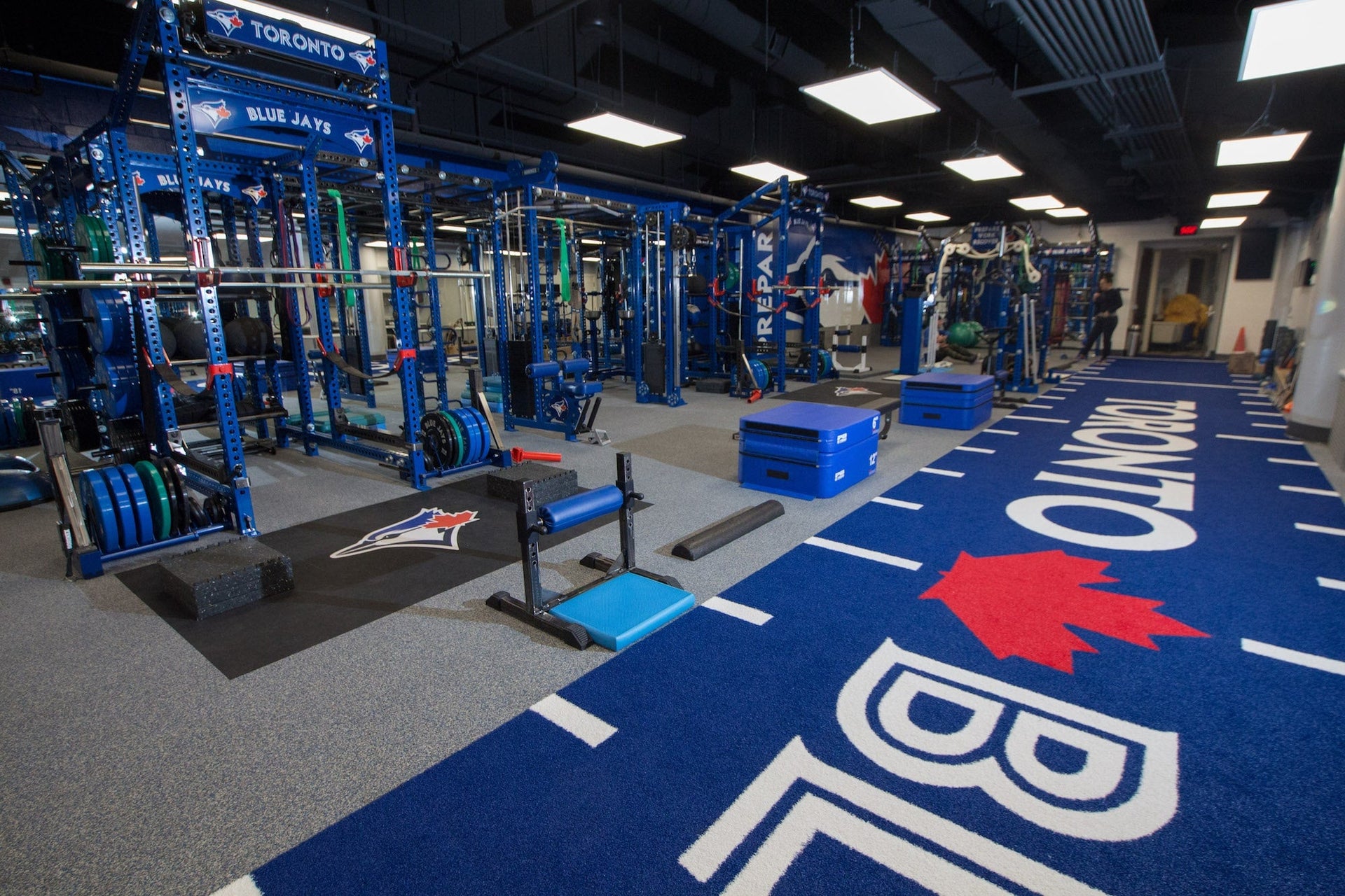 How to Build a Gym Without Wasting Money | Landmark Athletics ...