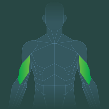 Landmark Luxor All In One Home Gym – landmarkathletics