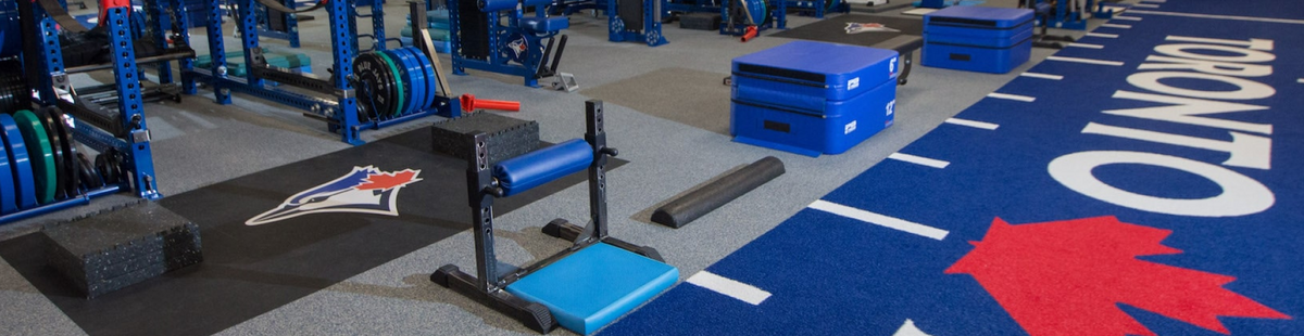 How to Build a Gym Without Wasting Money | Landmark Athletics ...